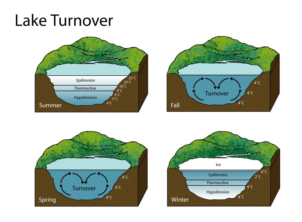 Lake Turnover Phenomenon - UGLPOA